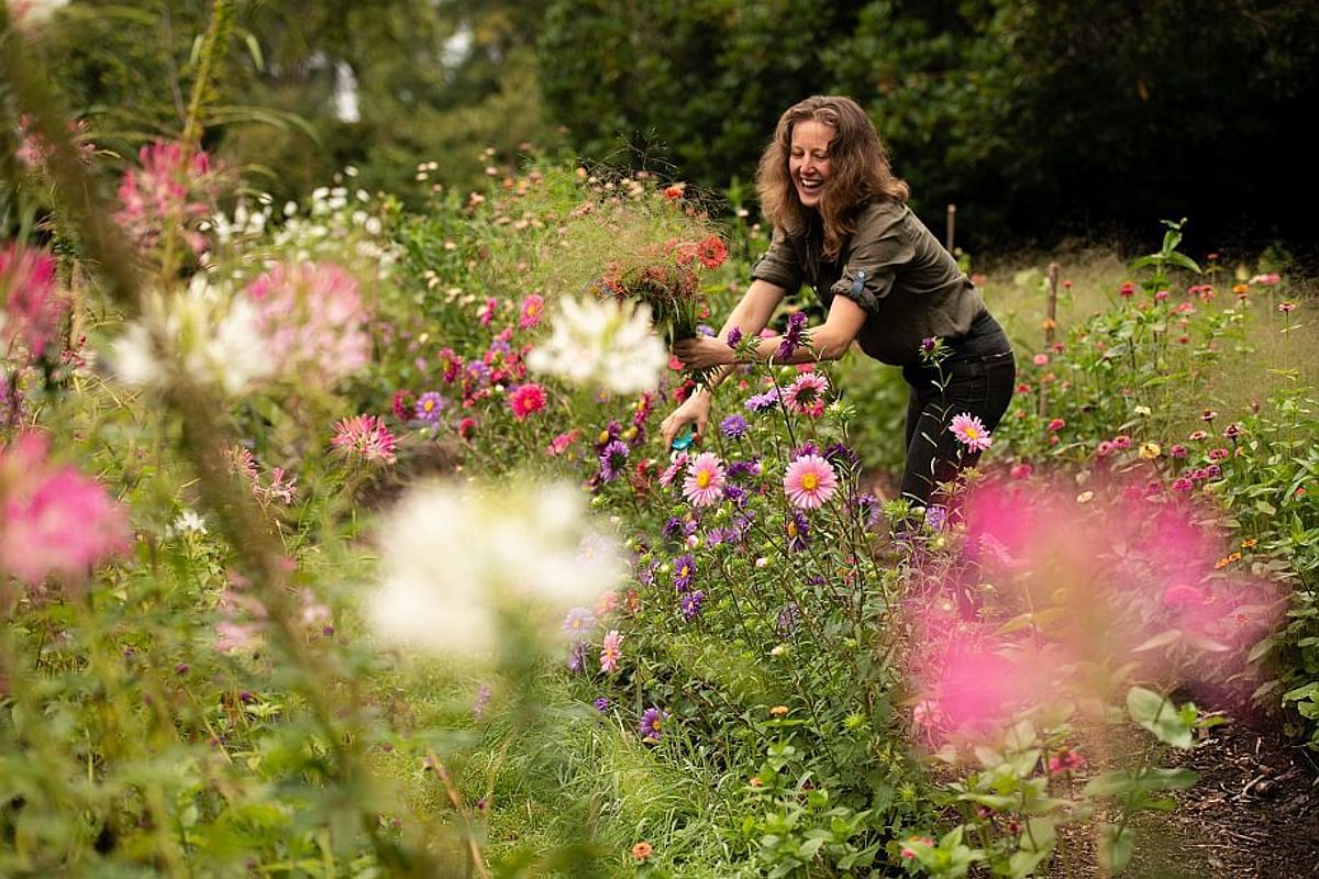 Jong Volk | Hashtags